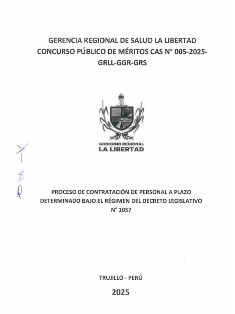 Bases + Perfil de Puestos - Concurso Público de Méritos #005-2025-GRLL-GGR-GRS | PDF | Cuidado ...