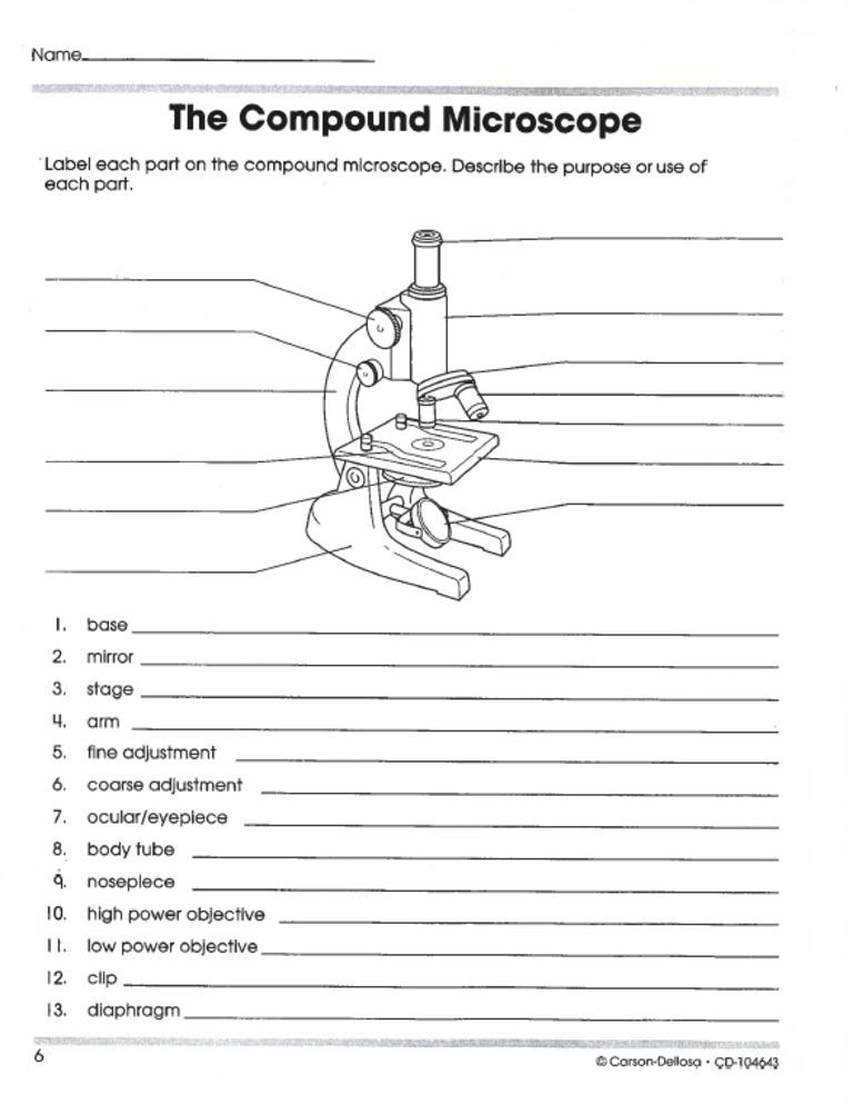Biology - PG 6 Compound Microscope | PDF