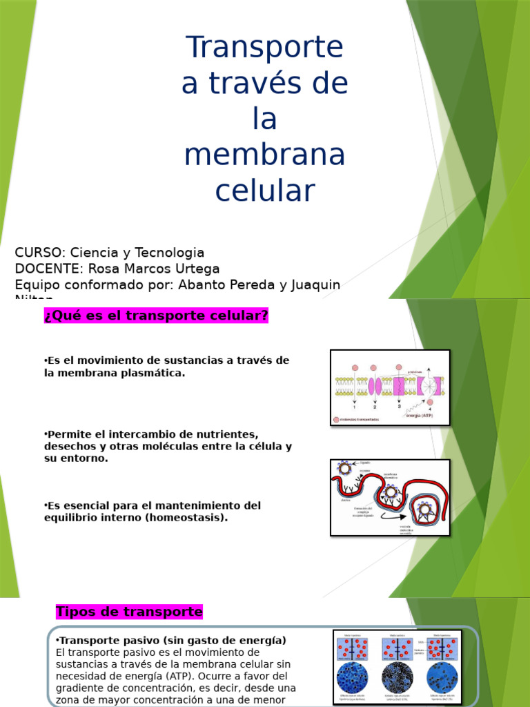 Transporte de La Membrana Celular - Abanto Pereda 4º H | PDF | Biología Molecular | Biología