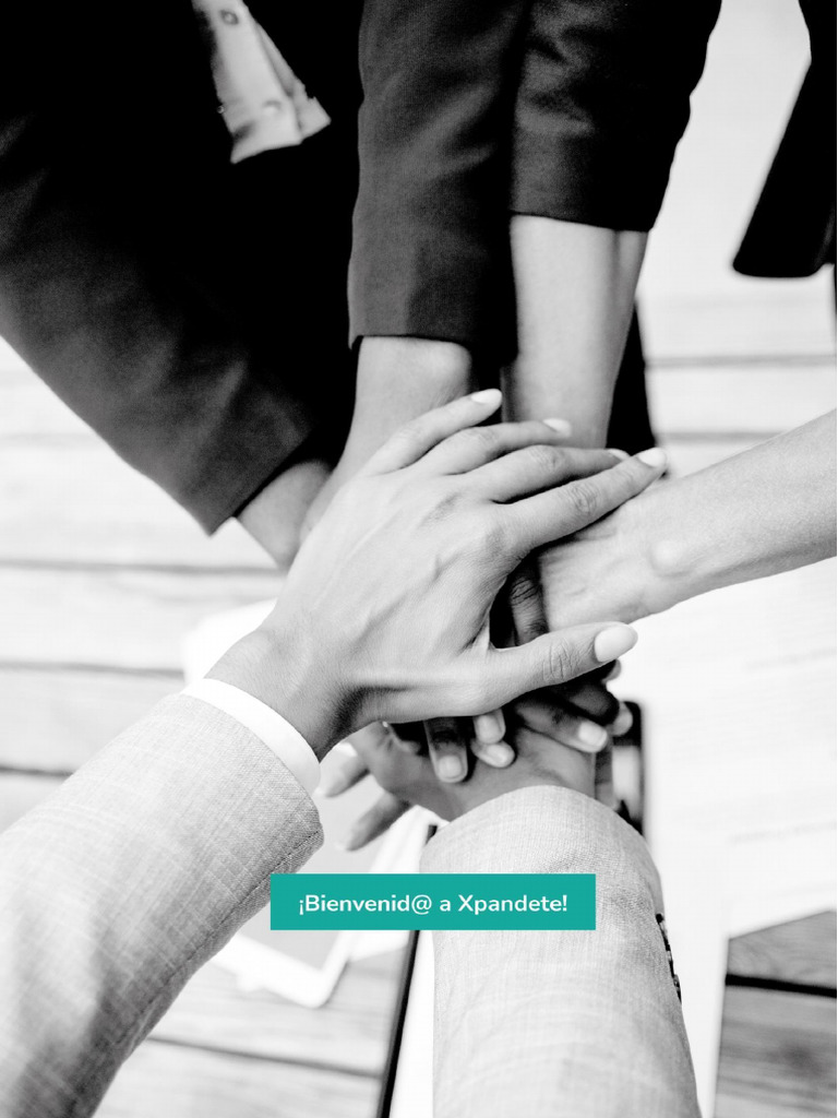 Manual Del Profesional Xpandete 12 - 2024 | PDF | Bibliografía | Factura