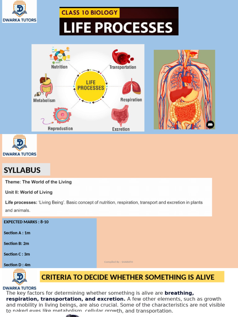 Life Processes | PDF | Circulatory System | Cellular Respiration
