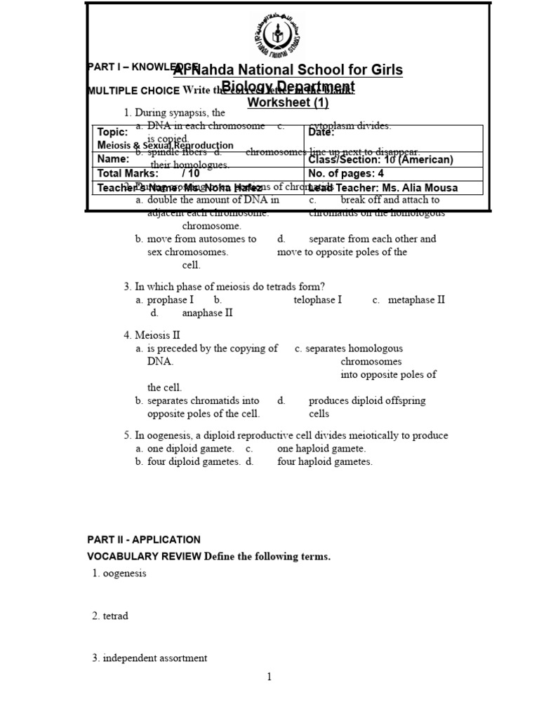 Meiosis & Sexual Reproduction - WK Sheet | PDF | Meiosis | Biological ...