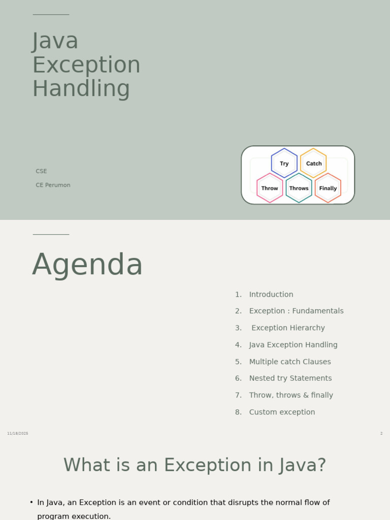 Exception & DBMS | PDF | Computer Science | Computer Programming