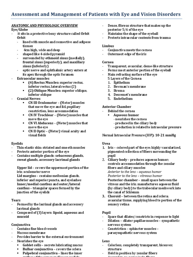 Eye Anatomy and Assessment Overview | PDF | Glaucoma | Cornea