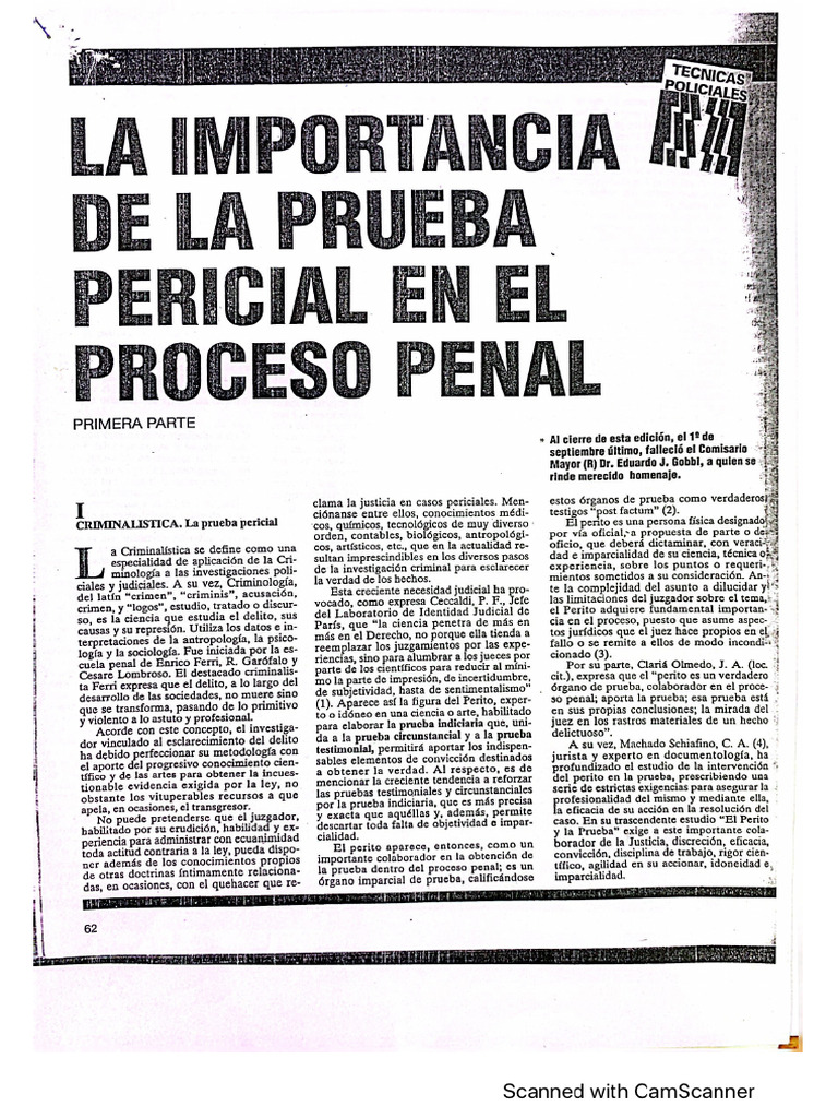 La Importancia de La Prueba Pericial en | PDF