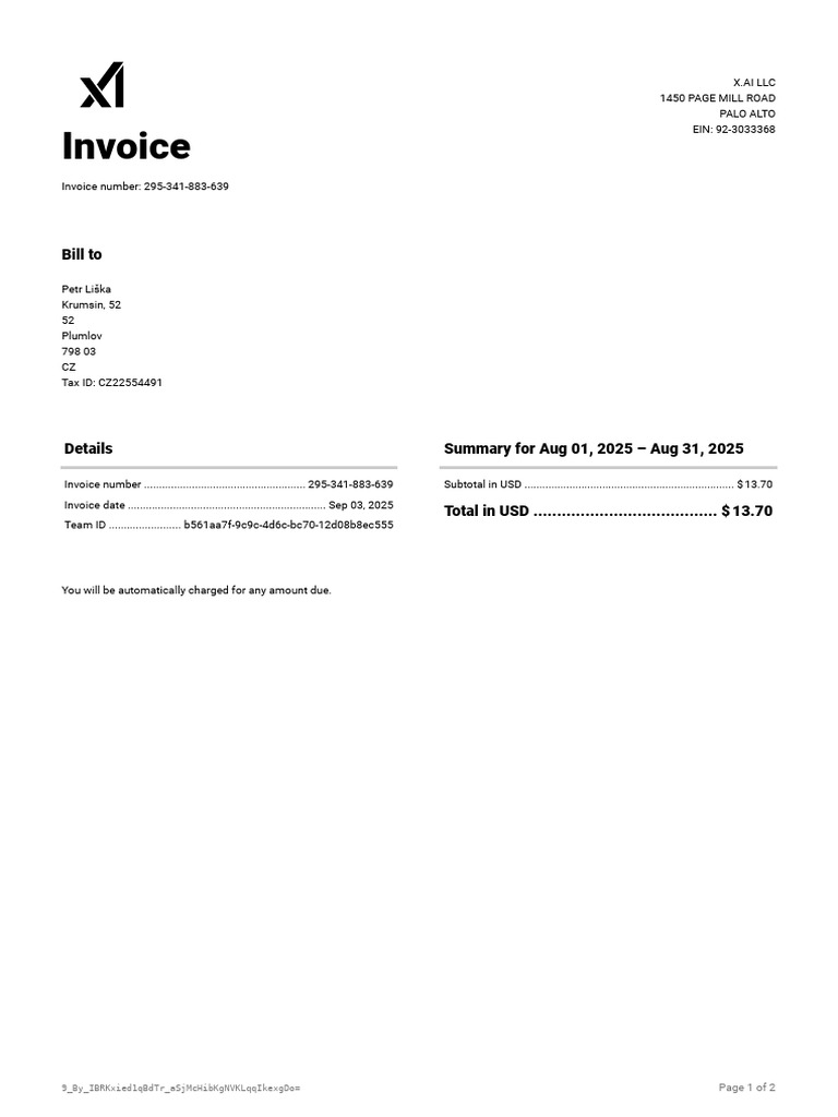 X.AI LLC Invoice Summary for August 2025 | PDF | Invoice | Accounting