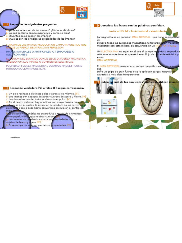 Guia de Lección Iman | PDF | Imán | Magnetismo