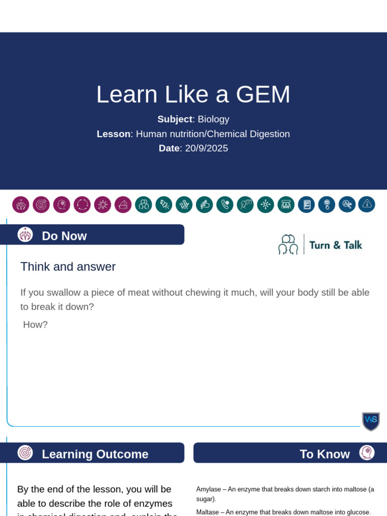 Chemical Digestion | PDF | Digestion | Small Intestine