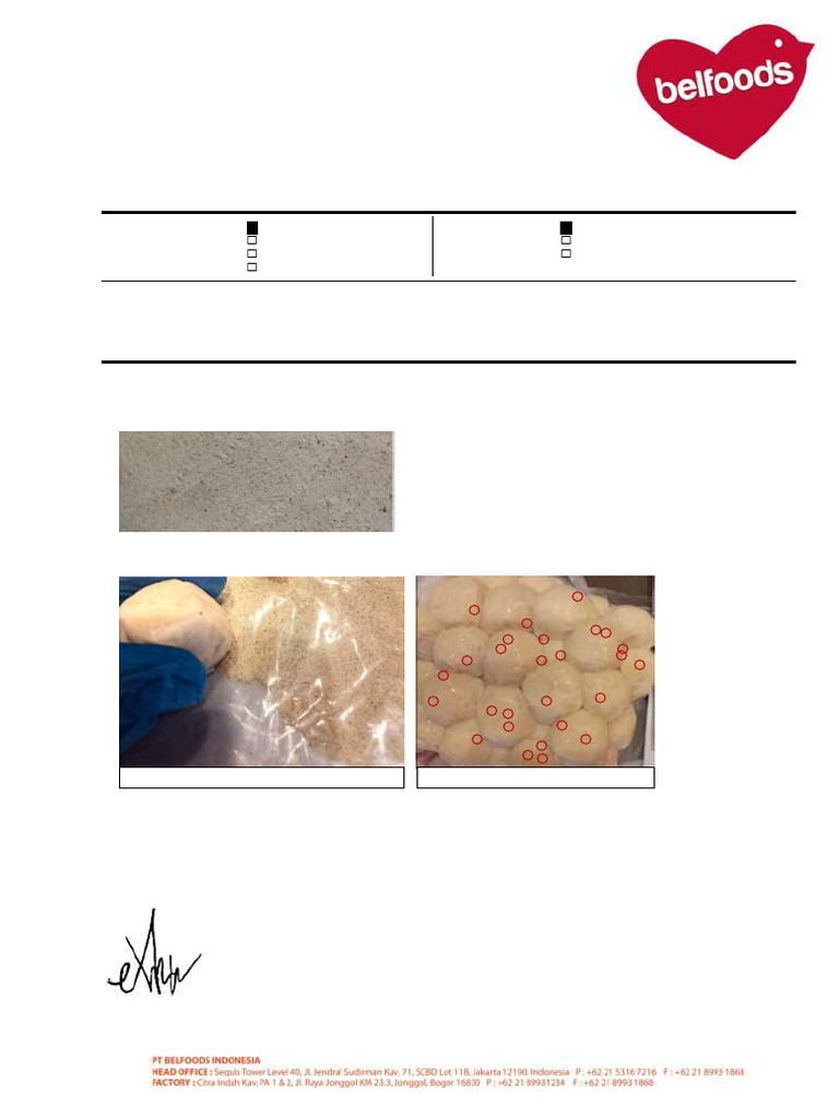 Memo Keterangan Karakteristik Produk KFC Chicken Ball | PDF