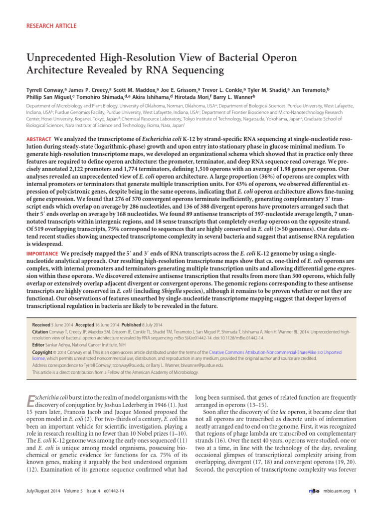 High-Resolution E. coli Operon Mapping | PDF | Promoter (Genetics) | Operon