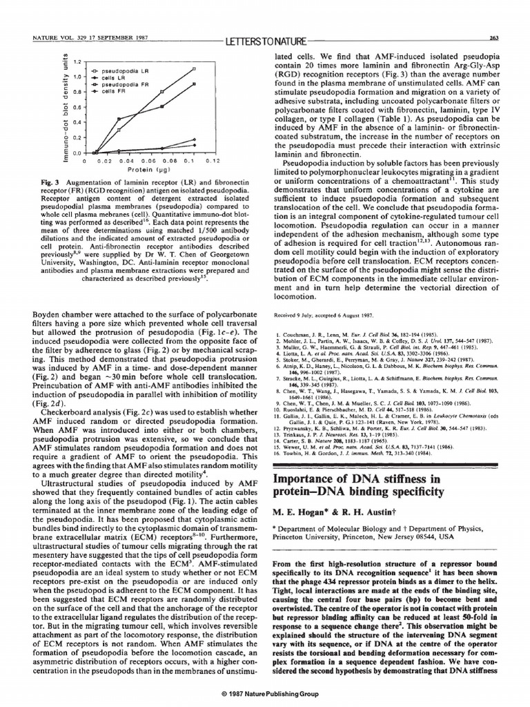 AMF-Induced Pseudopodia Formation in Cells | PDF | Young's Modulus ...
