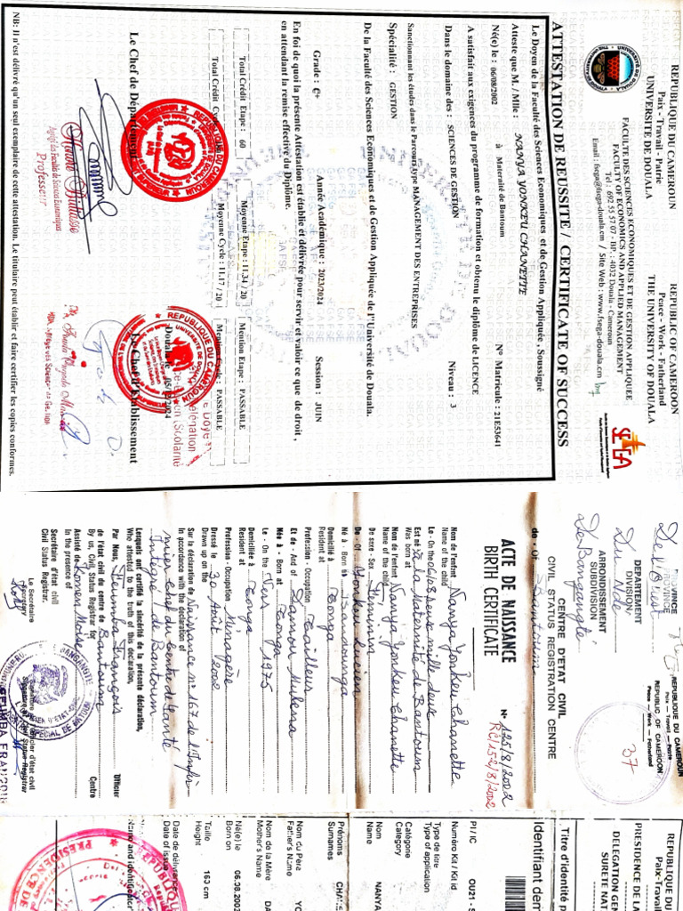 PDFReader 20251024 0719 | PDF