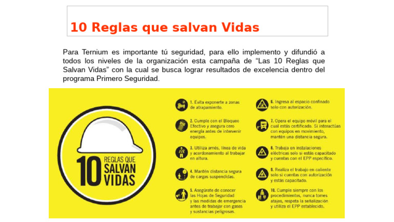 Reglas Que Salven de Vida | PDF