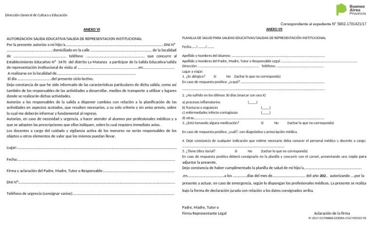 Anexo Vi y Vii | PDF