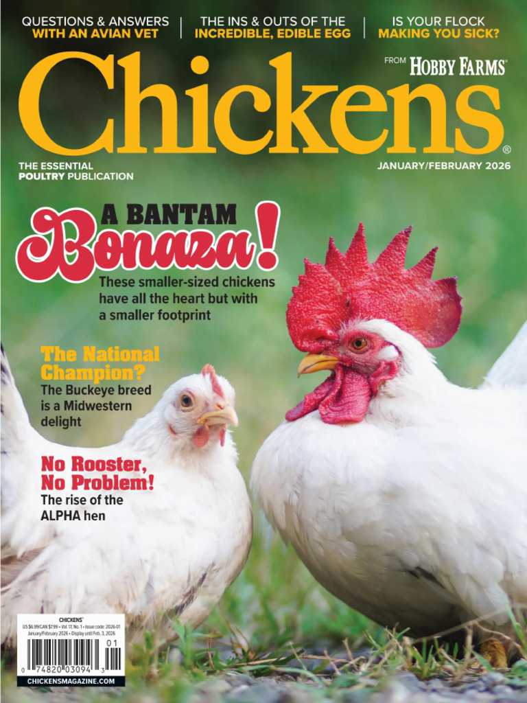 Chickens 01.02 2026 | PDF