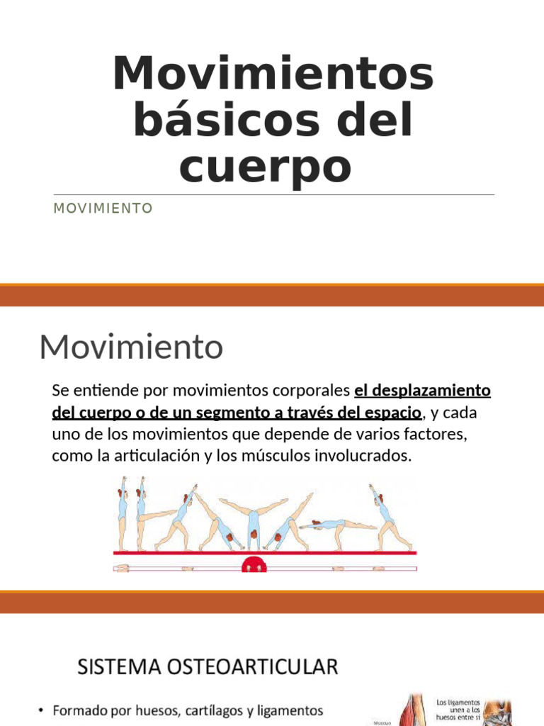 Movimientos Corporales Básicos Explicados | PDF