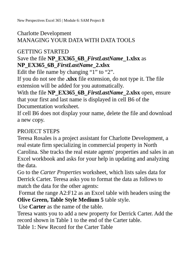 Instructions NP EX365 6B | PDF | Microsoft Excel | Computing