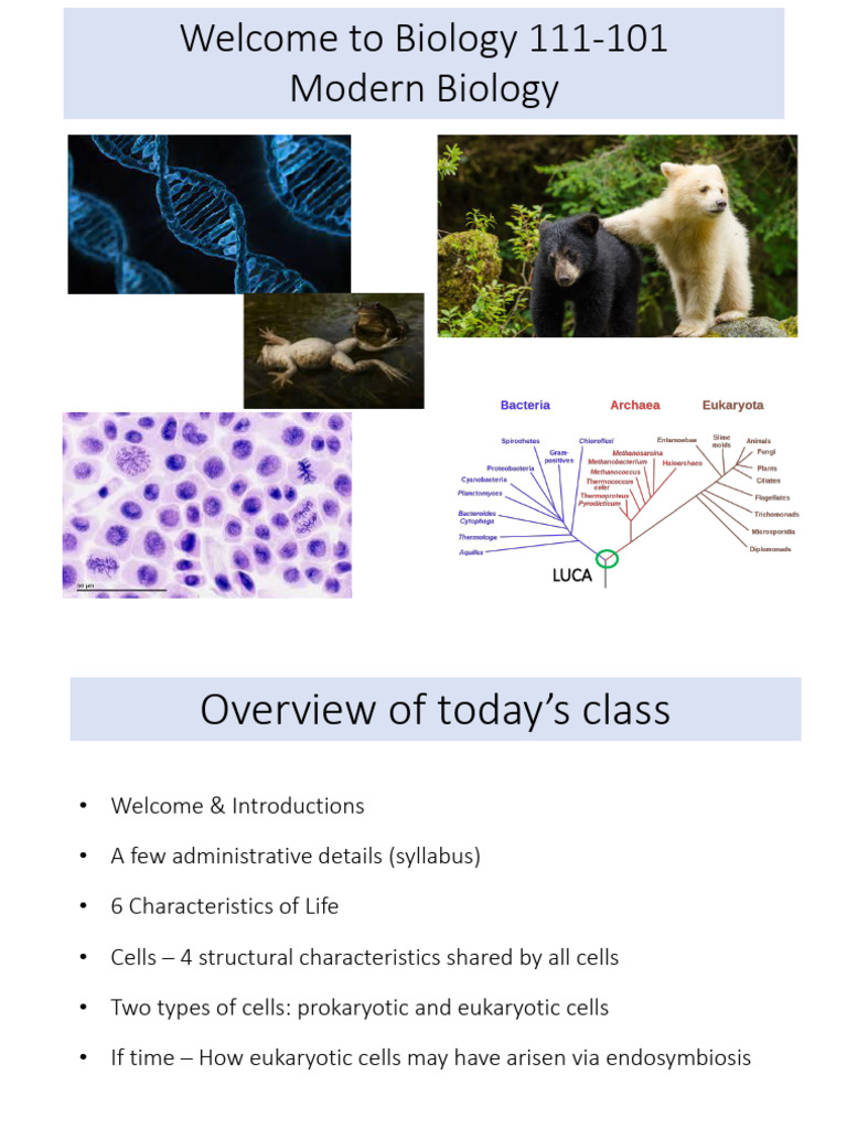 Pre-Lecture Slides - Lecture 1 - Introductions, Course Details ...