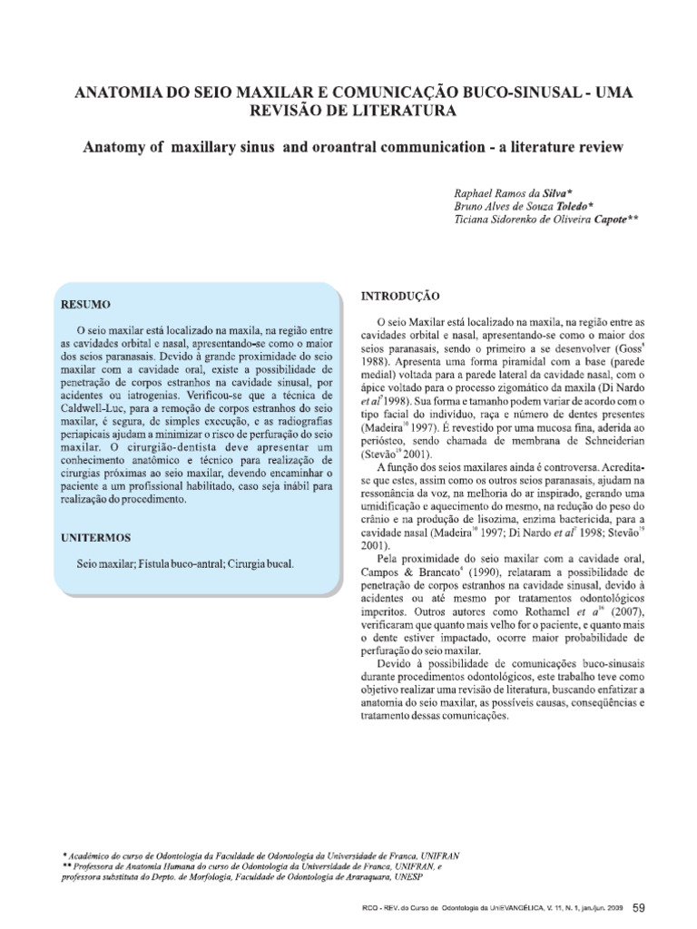 Anatomia Do Seio Maxilar | PDF