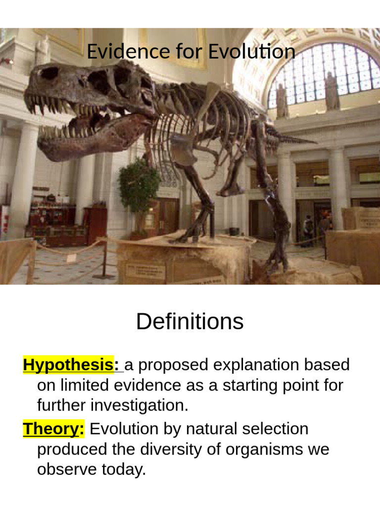 Key Evidence Supporting Evolution | PDF | Phylogenetic Tree | Homology ...