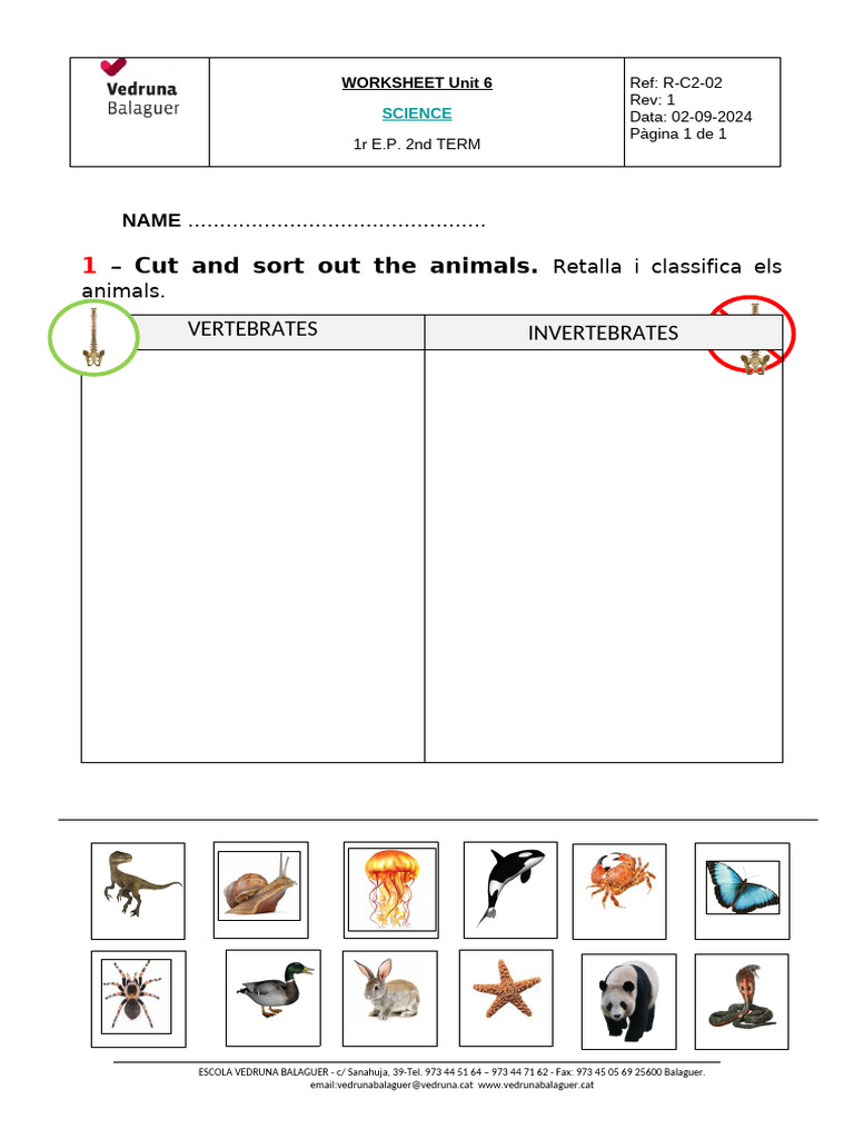 WORKSHEET Unit 6 - Vertebrates-Invertebrates Sort Out | PDF