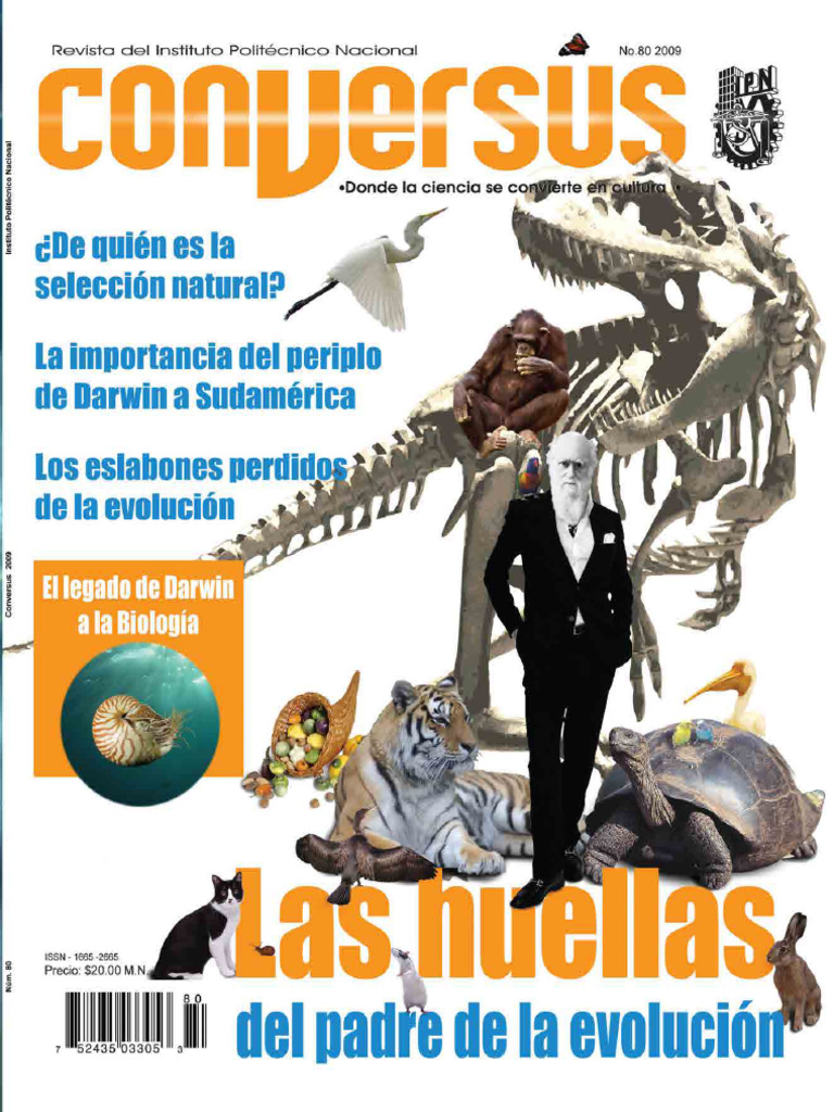 Conversus 080 | PDF