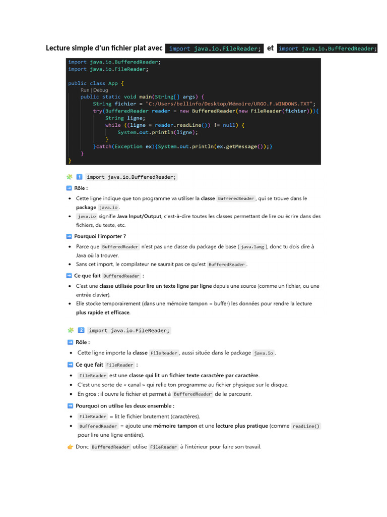 File Input Output | PDF