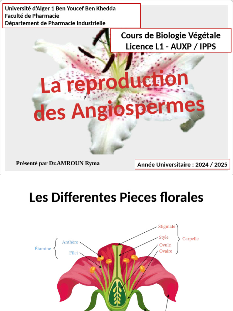 Reproduction des Angiospermes expliquée | PDF | Fécondation | Pollinisation