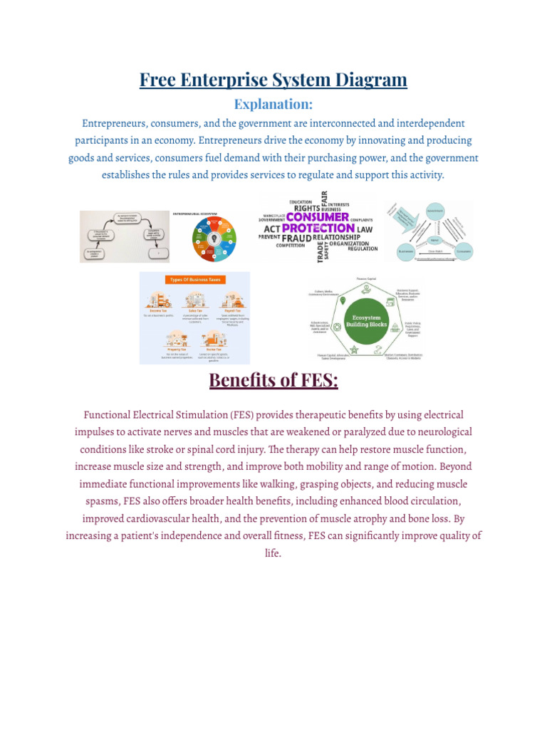 Free Enterprise System Diagram | PDF