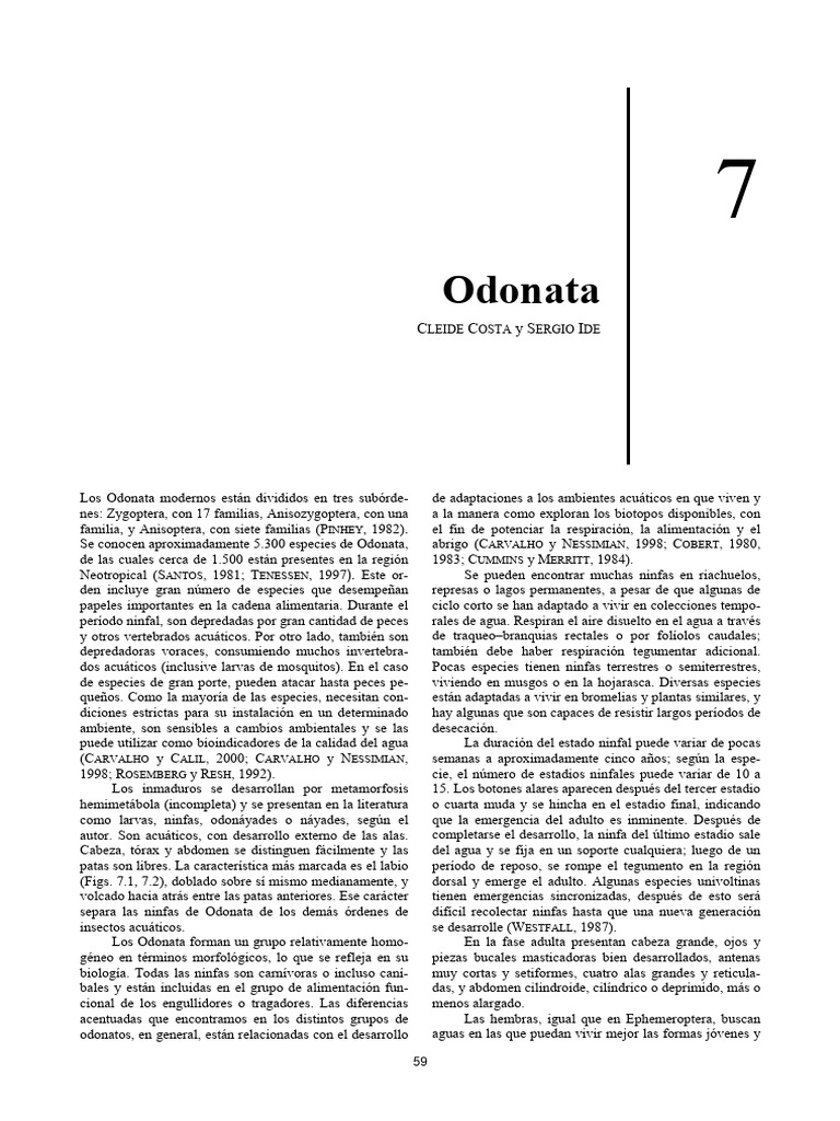059_062_II_Odonata | PDF | Libélula | Insectos