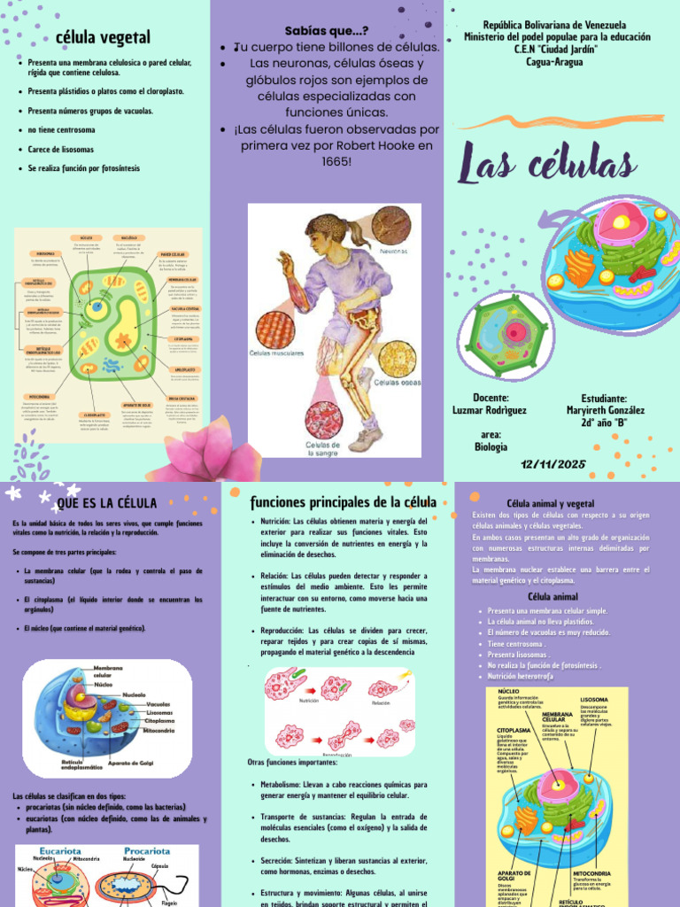 La célula | PDF | Biología Celular) | Citoplasma
