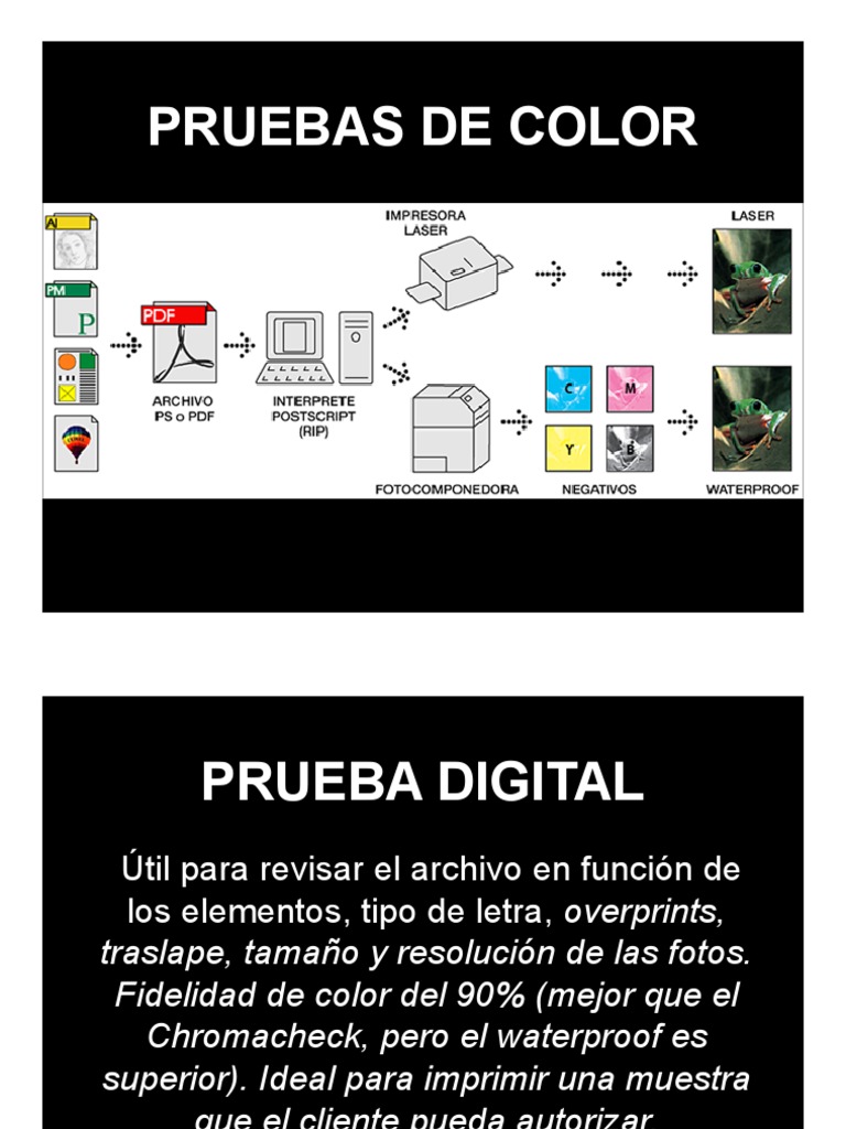 Pruebas Color | PDF | Tecnología