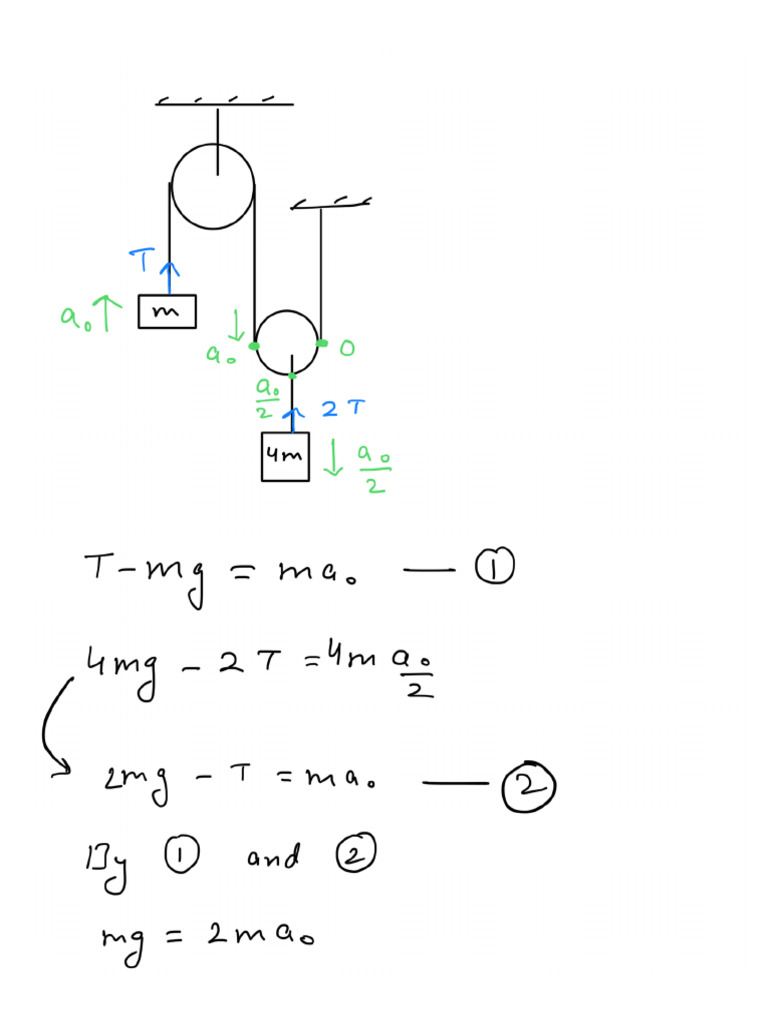 Nlm dpp 3 -5th | PDF