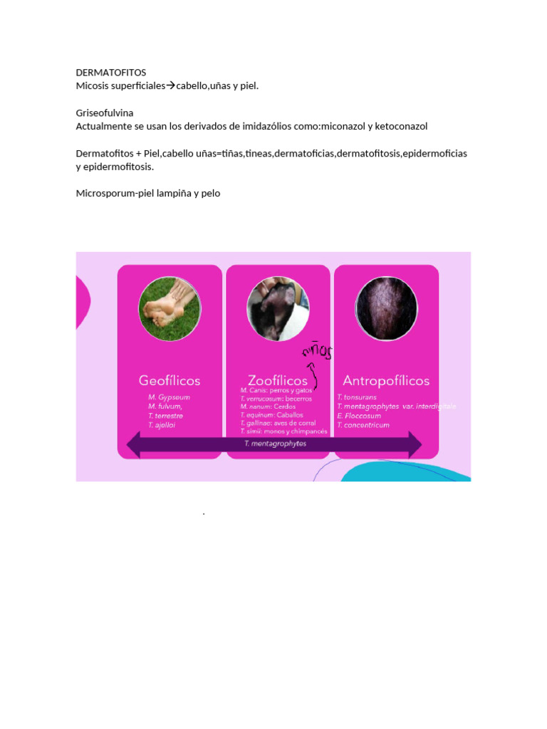 DERMATOFITOS | PDF