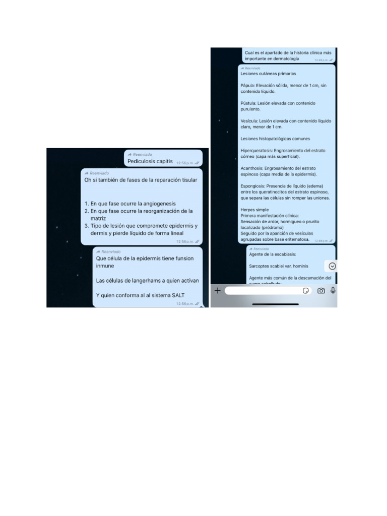 2° Depa_respuestas | PDF