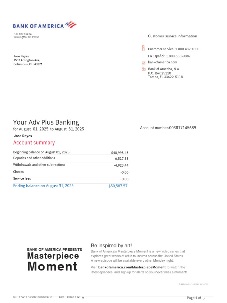 August 2025 Account Summary Report | PDF | Overdraft | Deposit Account