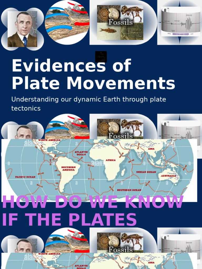 Evidence of Plate Tectonics Explained | PDF | Plate Tectonics | Volcano