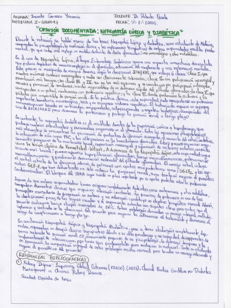 OD3 Nefropatia lúpica y diabética - Yessenia Infante Carrasco | PDF