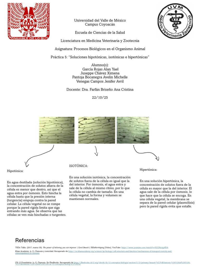 Práctica 5. Soluciones Hipo, Iso e Hiper | PDF | Biología | Biología ...