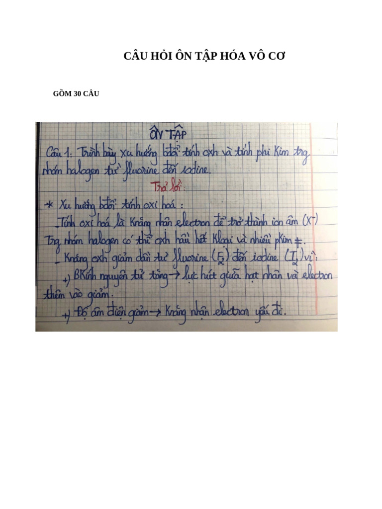 Câu Hỏi Hóa Vô Cơ Chính Thức (1) | PDF