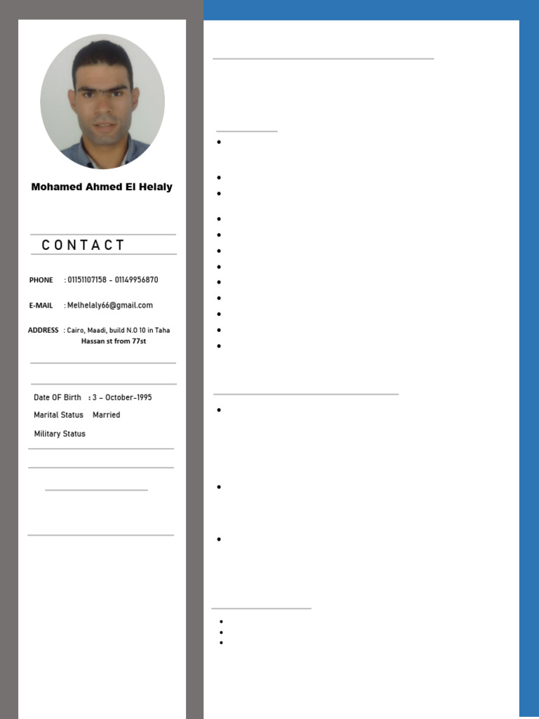 Mohamed Ahmed El Helaly CV Summary | PDF