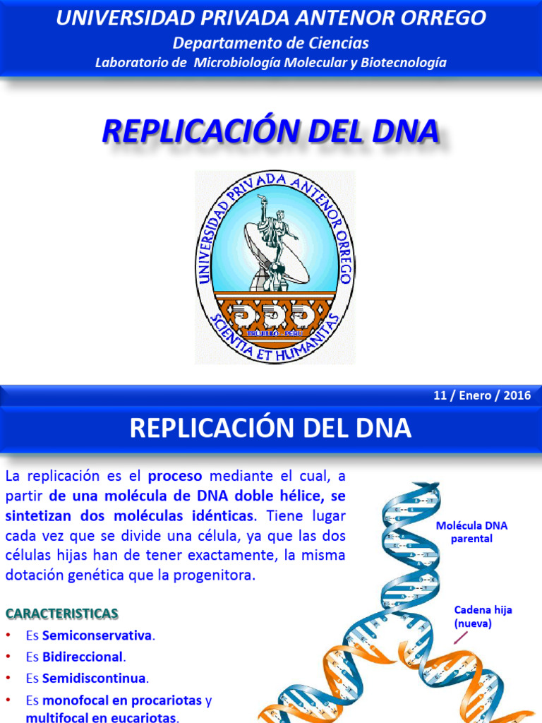 BIOLOGIA - TEMA 15 REPLICACION - Dr. GONZALEZ CABEZA | PDF | Replicación De Adn | Adn