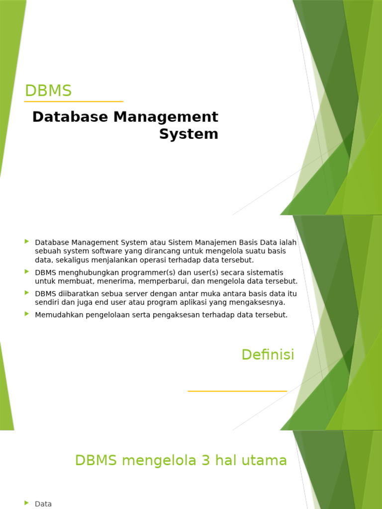 Database Management System DBMS | PDF