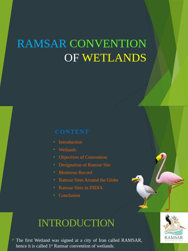 Ramsar Convention of Wetlands | PDF | Wetland | Earth Sciences