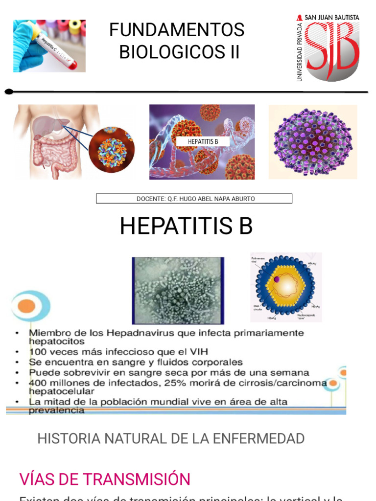 Hepatitis B - C | PDF | Hepatitis | Hepatitis B
