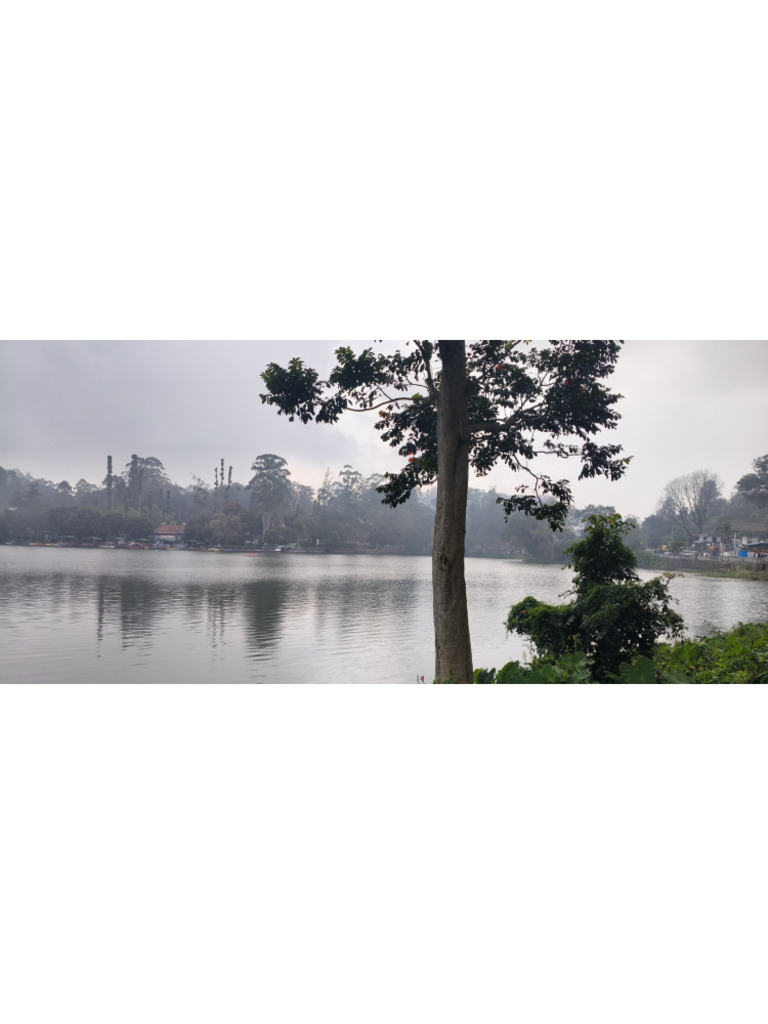 Lake View | PDF