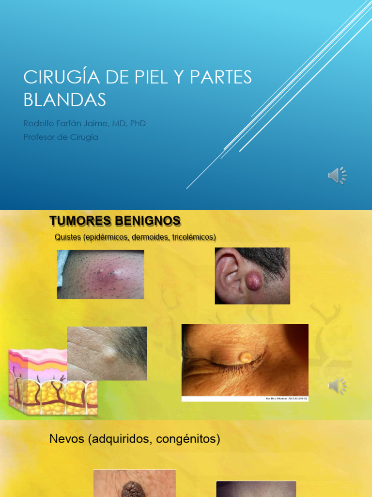 CX 2 FARFAN LECC 1 | PDF | Tórax | Especialidades Medicas