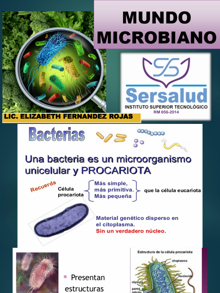 Mundo Microbiano | PDF