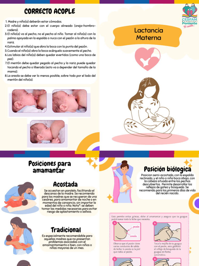 Afiche LM + Acople | PDF