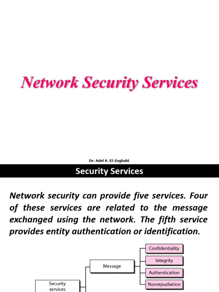 Network Security Services: Dr. Adel A. El-Zoghabi | PDF | Public Key Cryptography | Cryptography